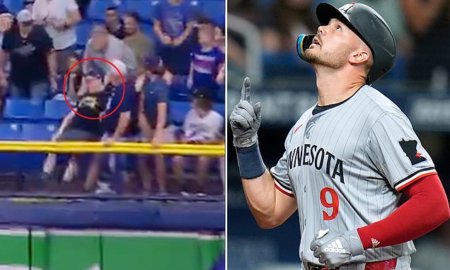 VIDEO. MLB player knocked out a spectator with a home run | Dailysports