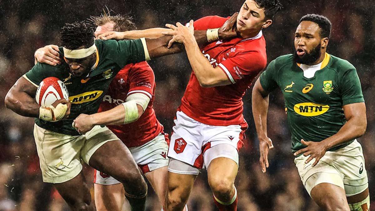"Springboks" kick off the new season. What do we know? | Dailysports