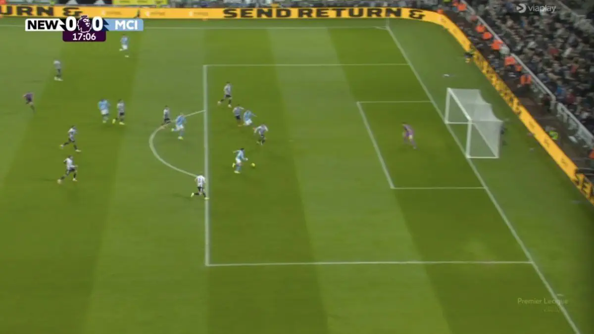 Rough foul! Referee denies Manchester City penalty against Newcastle ...