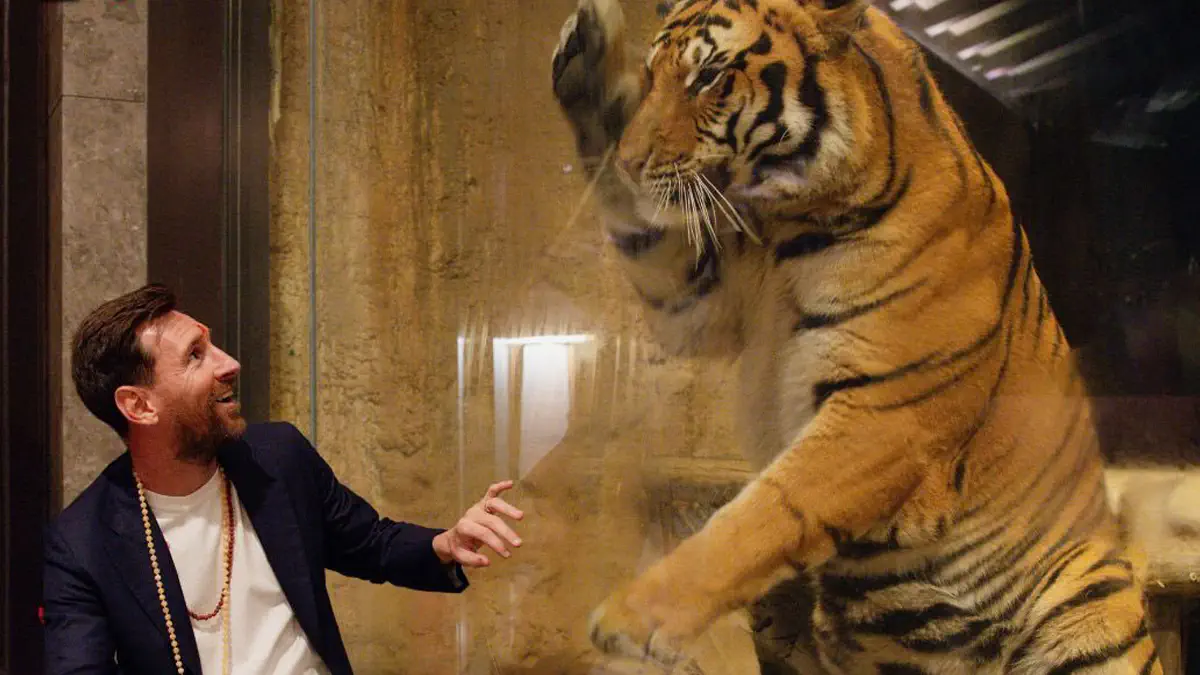 En Inde, un lion baptisé en l’honneur de Messi ! Lionel Messi visite le ...
