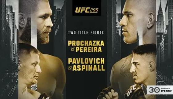 UFC 295. Prochazka vs Pereira: full fight card, date & time | Dailysports
