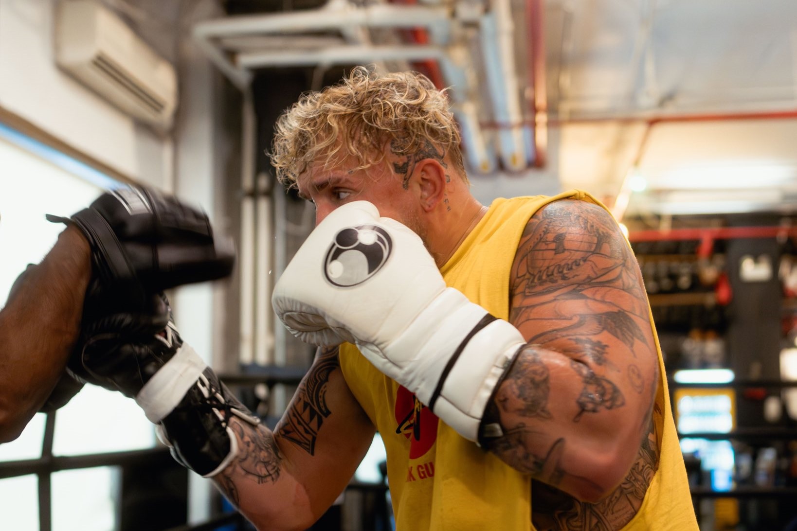 Jake Paul's plane was struck by lightning. The boxer was there ...