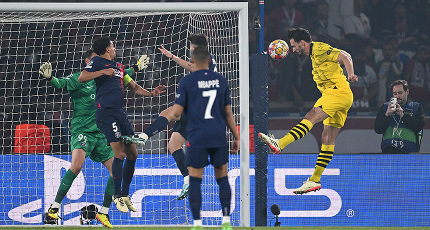 Borussia Dortmund legend has yet to decide on his future | Dailysports