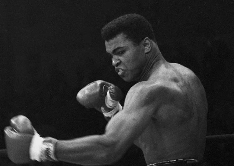 Where's Mike Tyson? BoxRec surprised with updated ranking of the best heavyweights in boxing ...